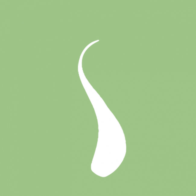 Systways Academy Pathways To Sustainability